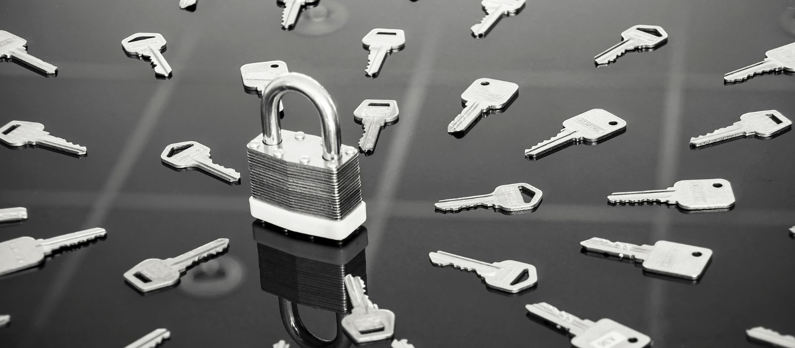 Schließanlagen bestellen - Definition und Bestellinformationen